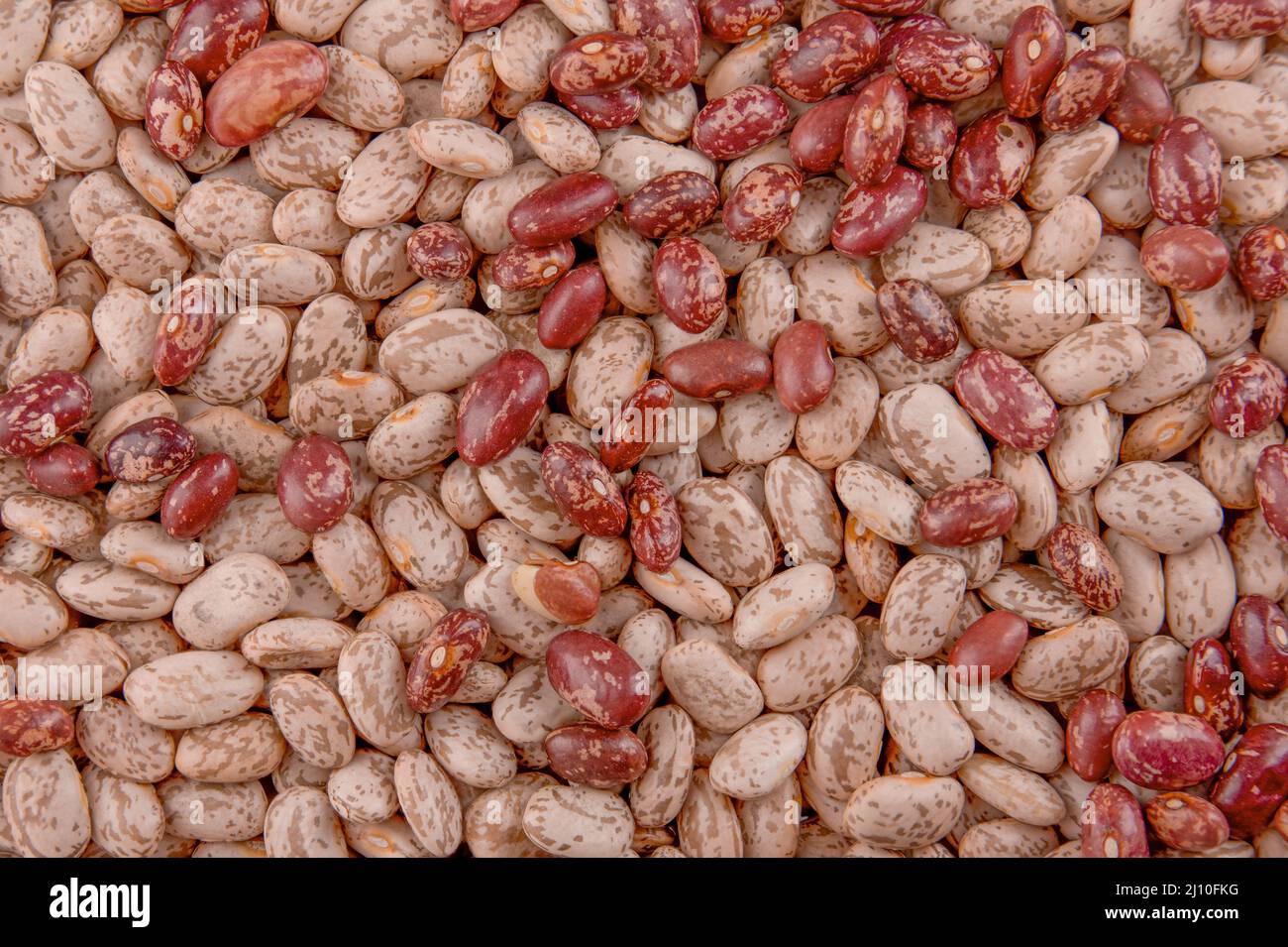 La foto mostra fagioli rossi. La consistenza dei semi è fatta in HD ad ...