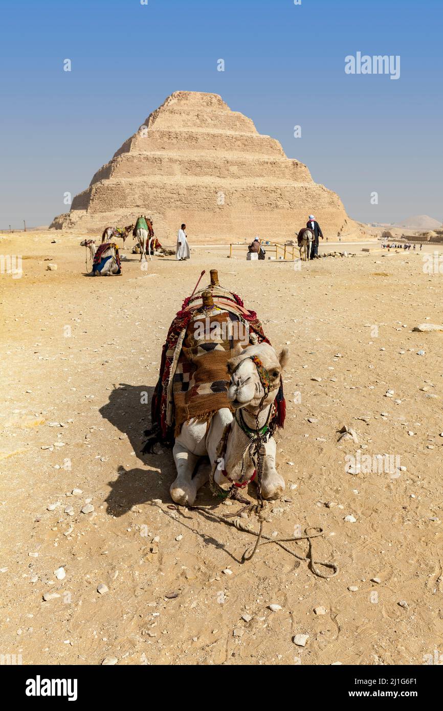Piramide a gradoni del djoser immagini e fotografie stock ad alta ...