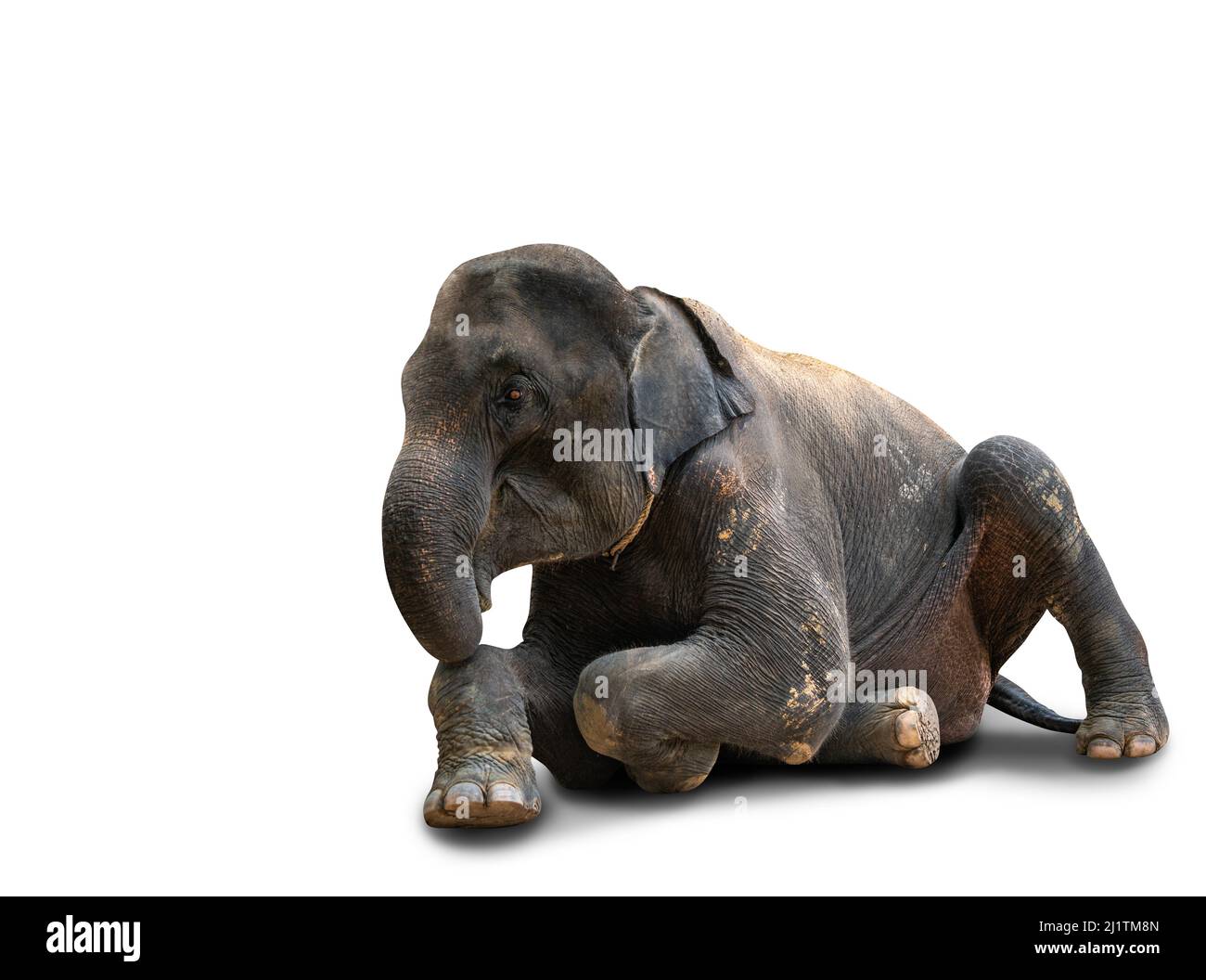 Angolo di 45 gradi Immagini senza sfondo e Foto Stock ritagliate - Alamy