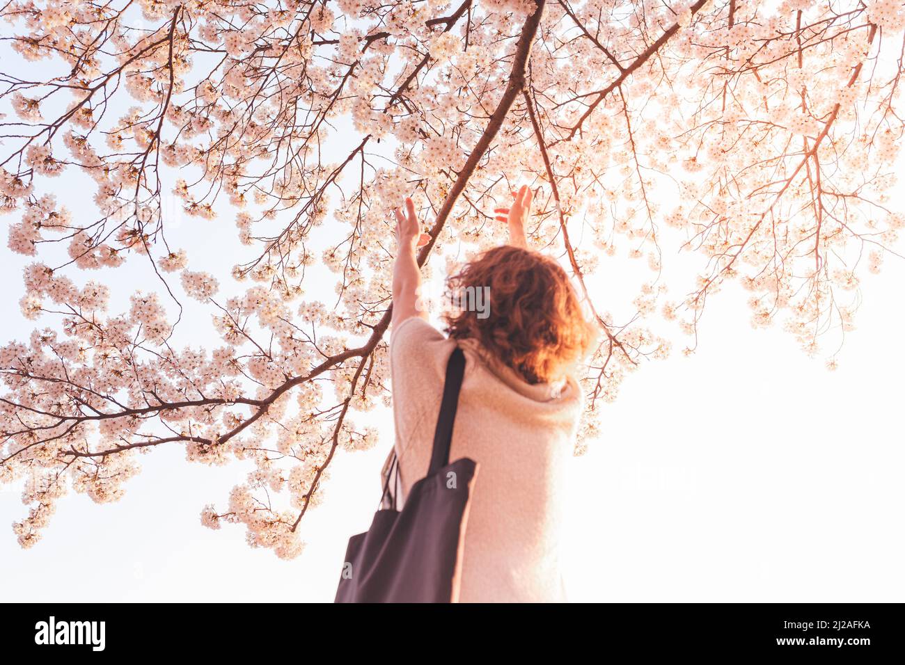 Equilibrio delle emozioni emozionali immagini e fotografie stock ad ...