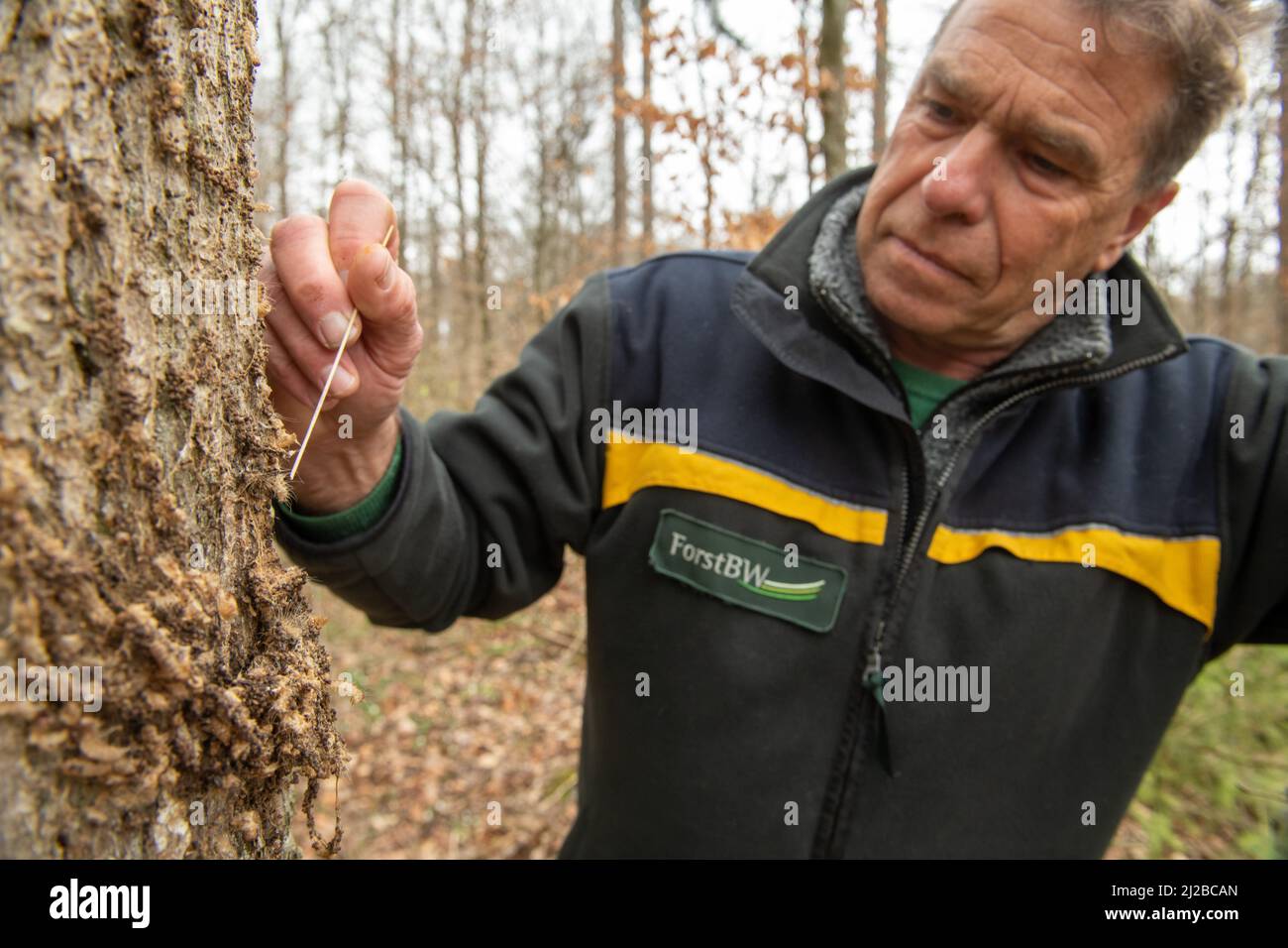 Causa eruzioni cutanee immagini e fotografie stock ad alta risoluzione ...