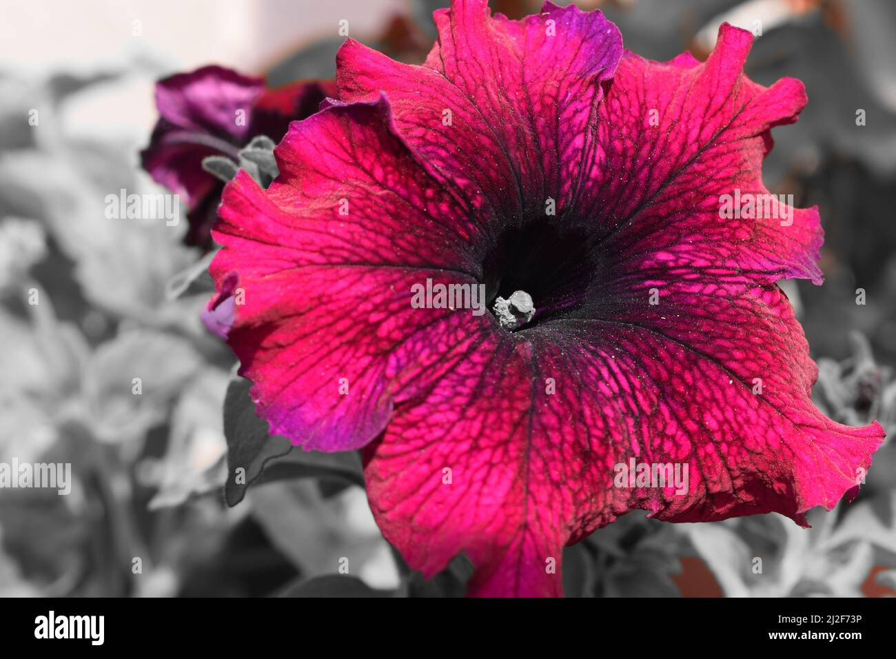 Sfondi caldi immagini e fotografie stock ad alta risoluzione - Alamy