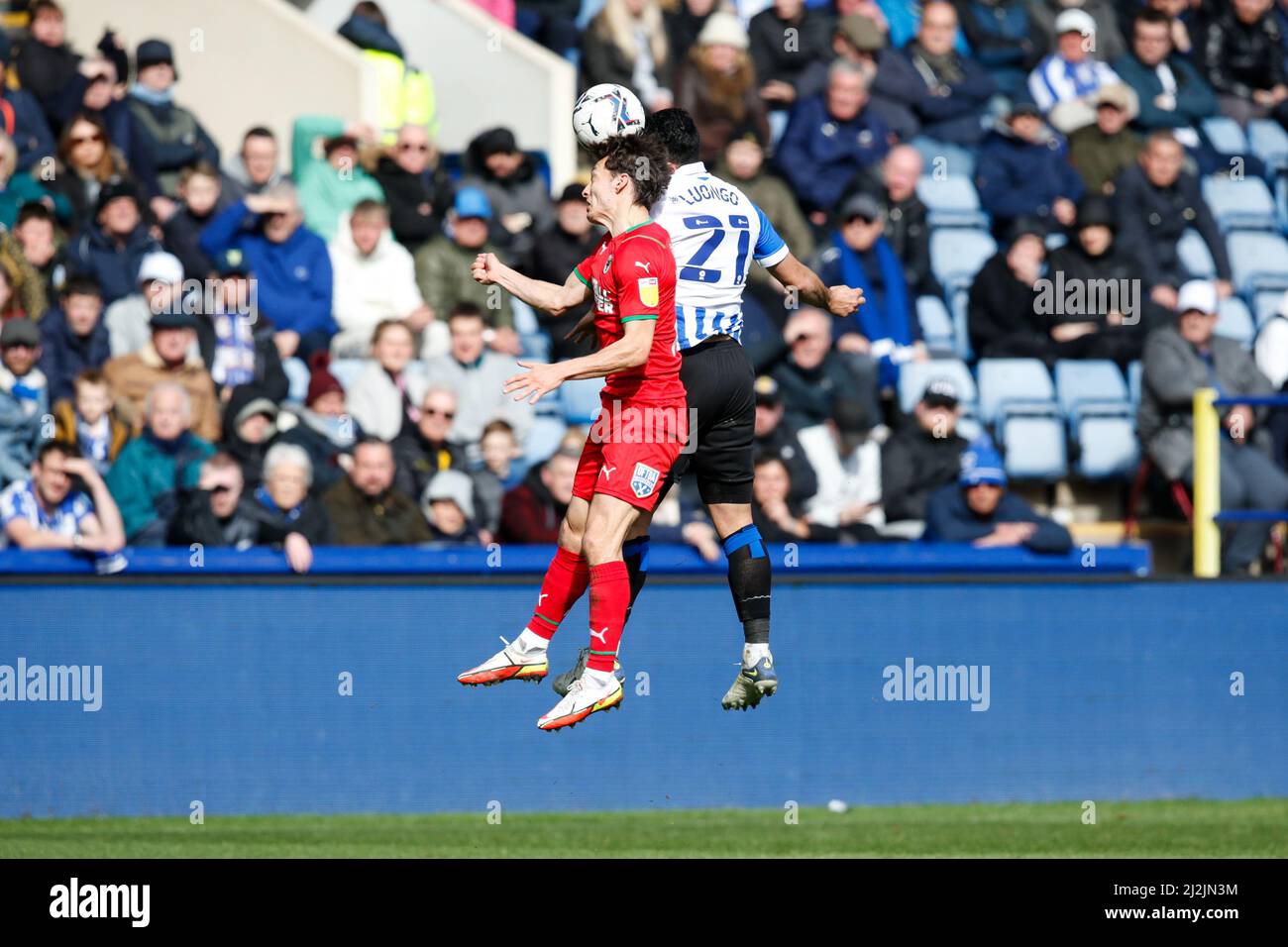George marsh di afc wimbledon immagini e fotografie stock ad alta ...