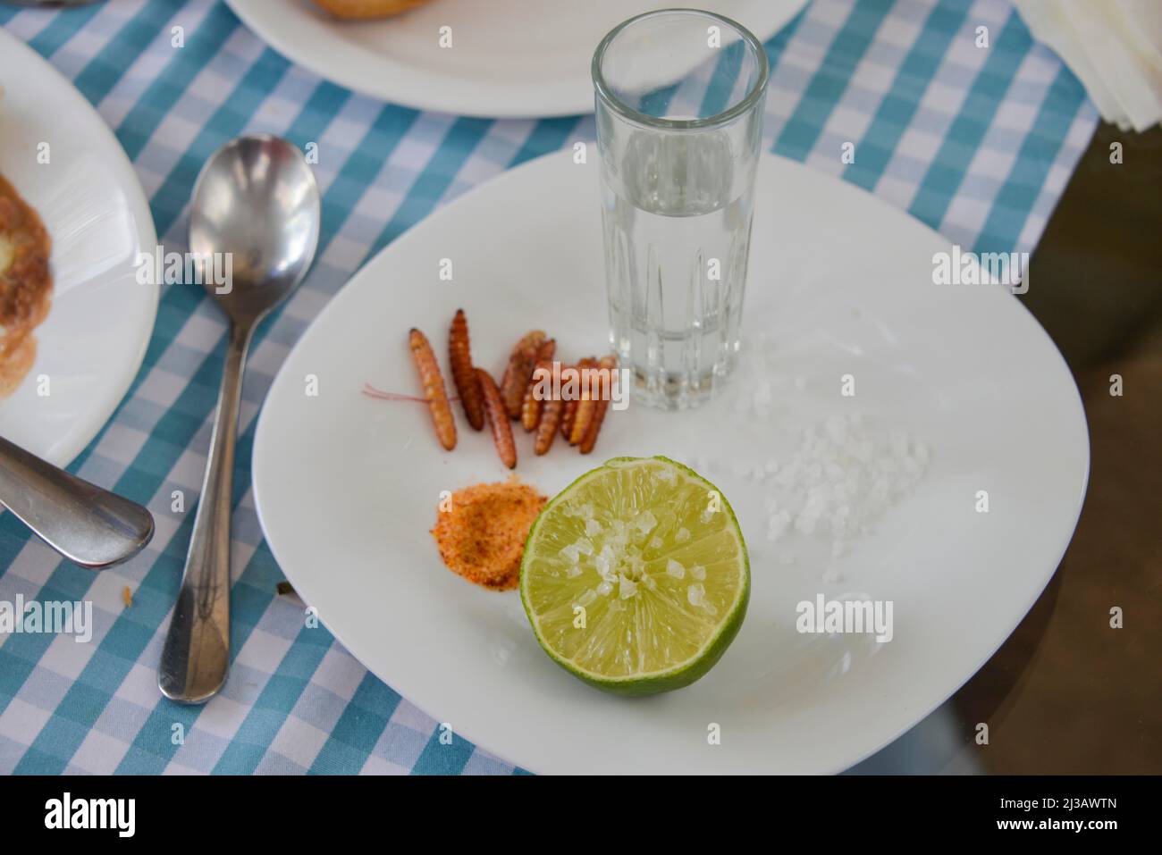 Insetti alla griglia immagini e fotografie stock ad alta risoluzione ...