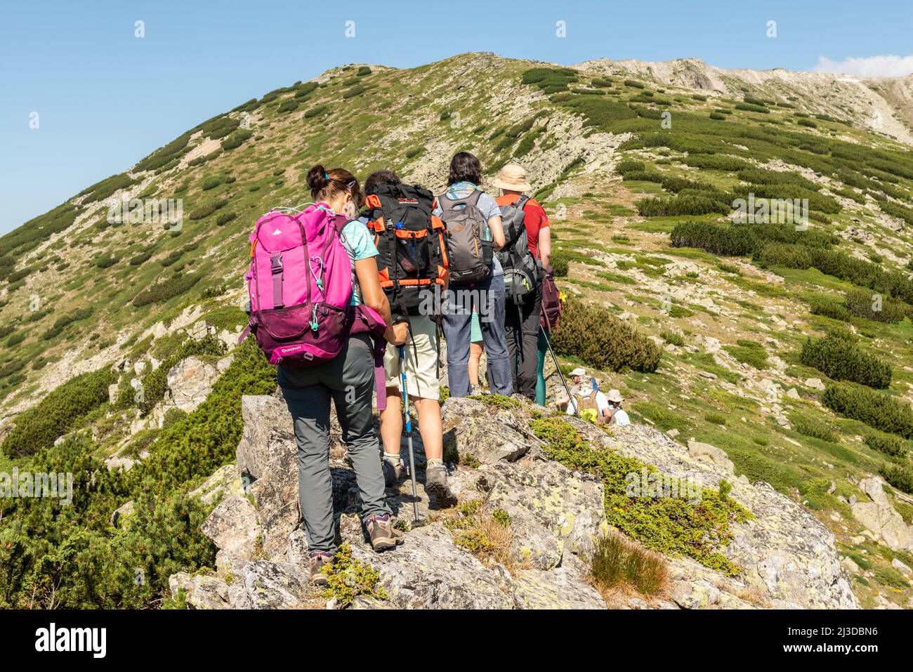 Escursioni in montagna, gruppo di escursionisti che camminano sulle ...