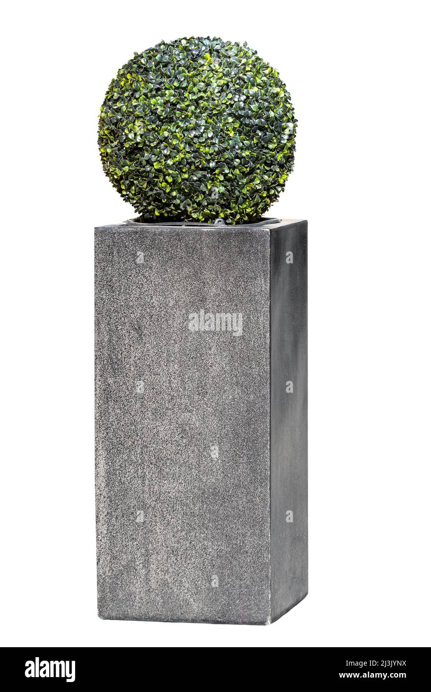 Assetto cespuglio immagini e fotografie stock ad alta risoluzione - Alamy