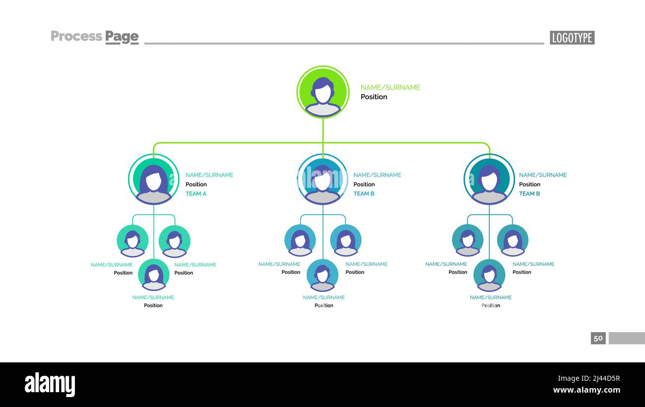 Modello Di Organigramma Del Progetto