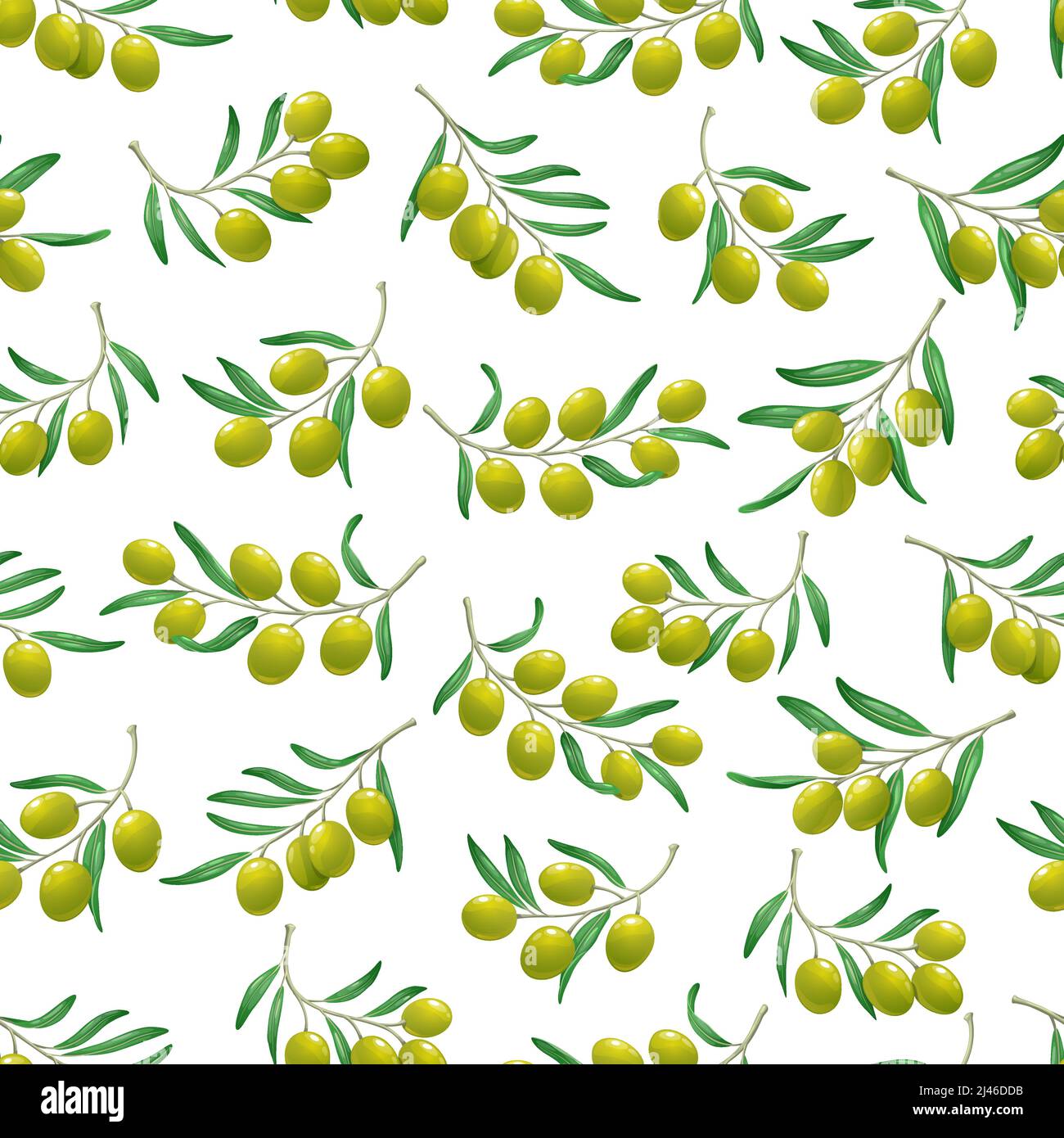 Verde greco, italiano olive ramo senza cuciture modello. Sfondo ...