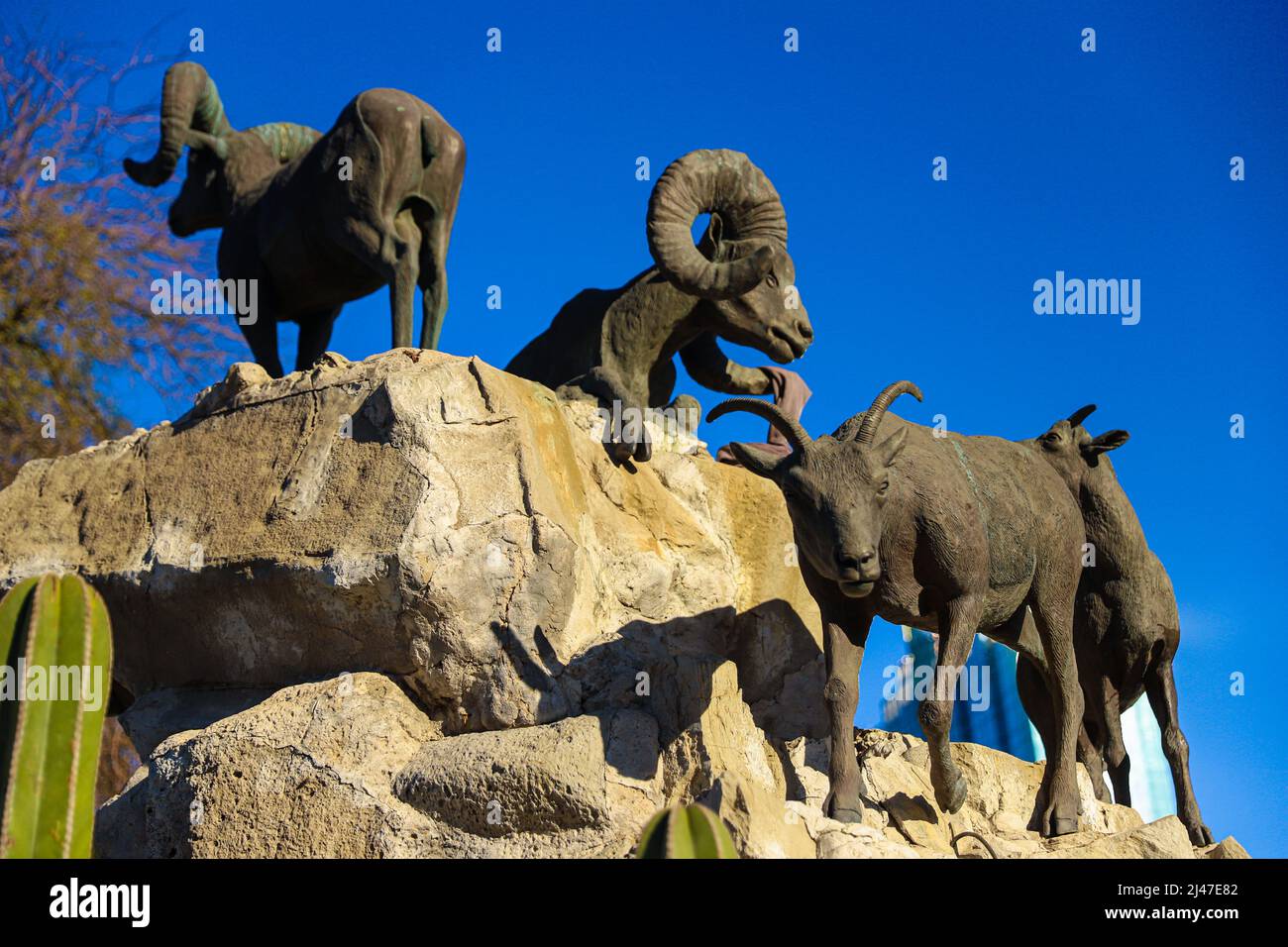 Figura o estatua de borrego cimarron, cimarrones, animal del desierto ...