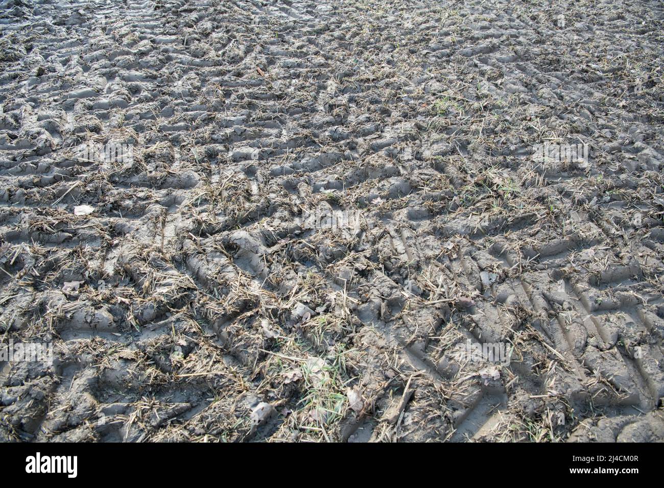 Inquinamento del suolo immagini e fotografie stock ad alta risoluzione - Alamy