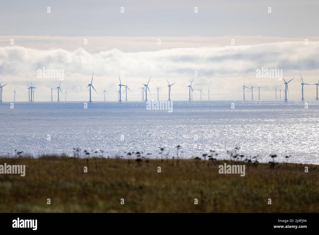 Beatrice offshore wind farm immagini e fotografie stock ad alta ...