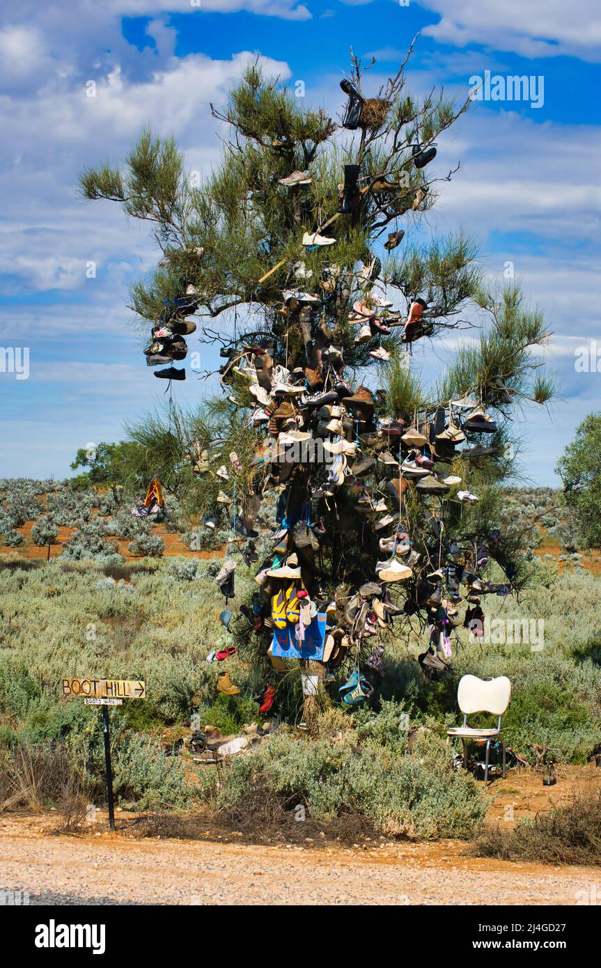 Scarpe appese ai rami immagini e fotografie stock ad alta risoluzione ...