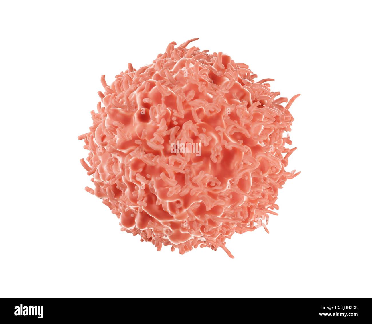 Cancro delle cellule immagini e fotografie stock ad alta risoluzione ...