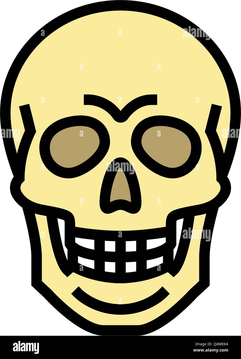 Huesos del antebrazo y la mano Immagini Vettoriali Stock - Pagina 2 - Alamy