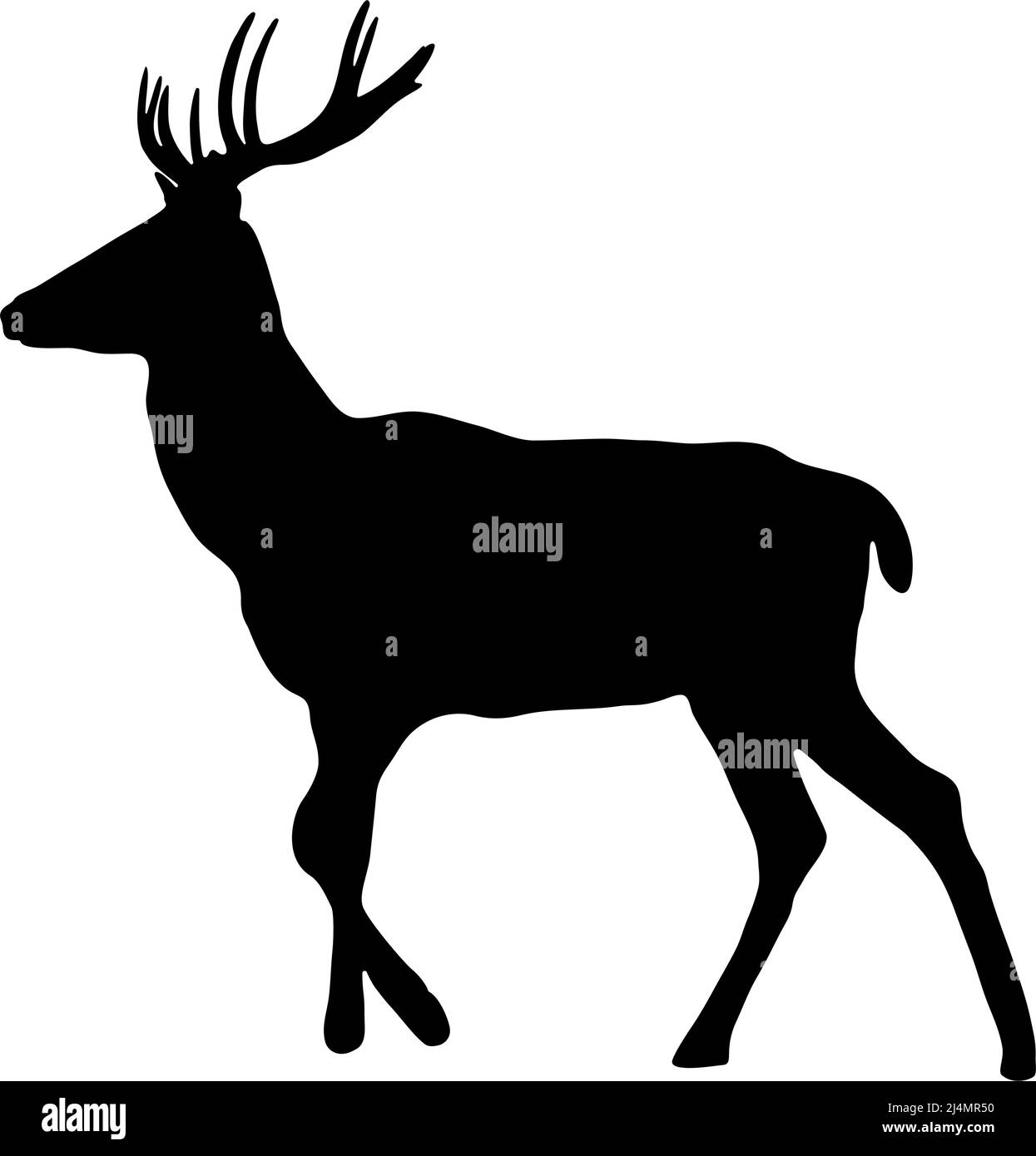 Disegno a matita di caccia di foresta Foto e Immagini Stock in Bianco e ...