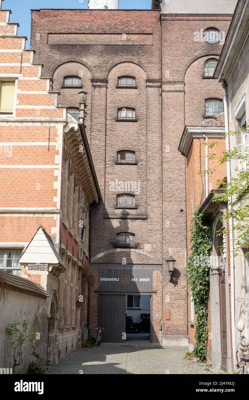 Belgian beer antwerp immagini e fotografie stock ad alta risoluzione ...