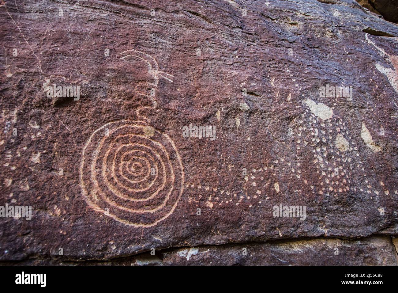 Un pannello di petroglifi di serpente cornuto nel Nine Mile Canyon ...