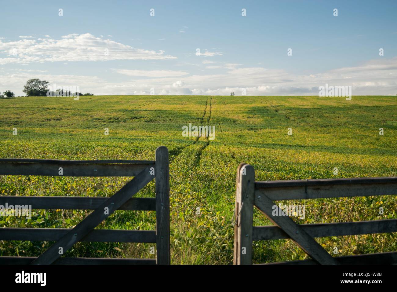 Aprire il cancello della fattoria immagini e fotografie stock ad alta ...
