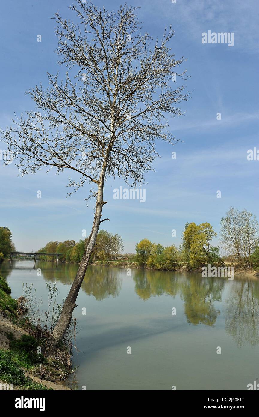 Immagini stagionalia immagini e fotografie stock ad alta risoluzione ...