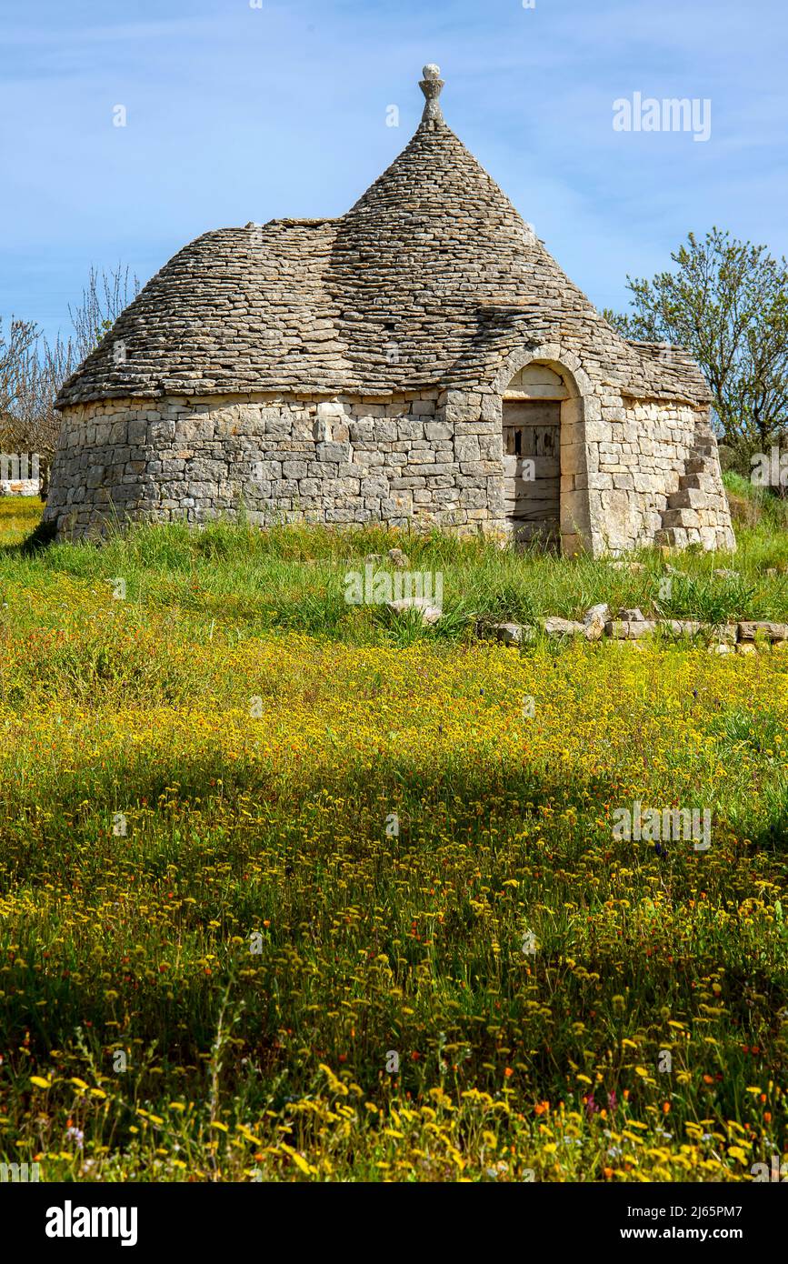 Trulli dimore in Puglia, campagna, ulivo e edificio tradizionale ...