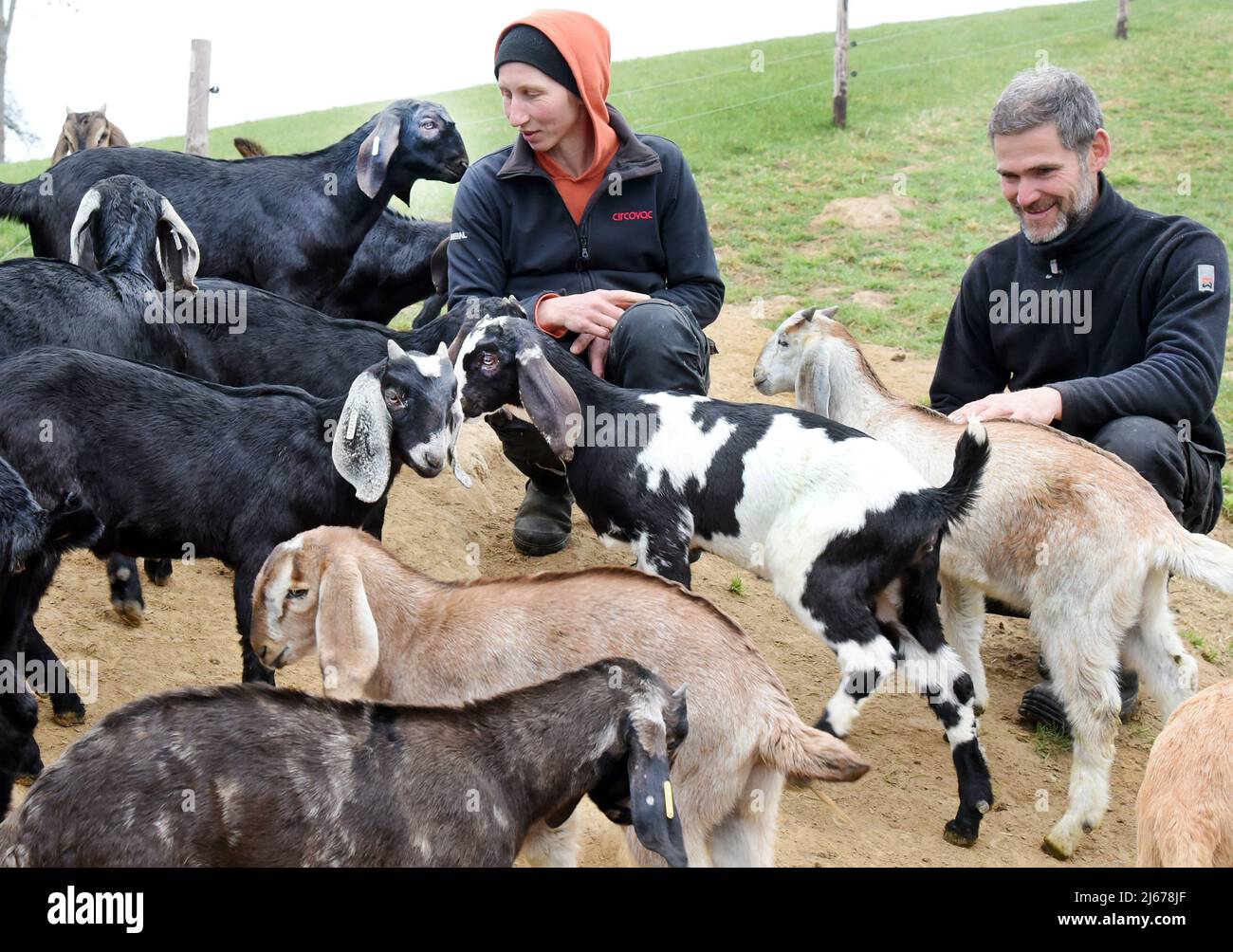 29 marzo 2022, Sassonia, Lichteneichen/ Mügeln: L'operatore agricolo ...