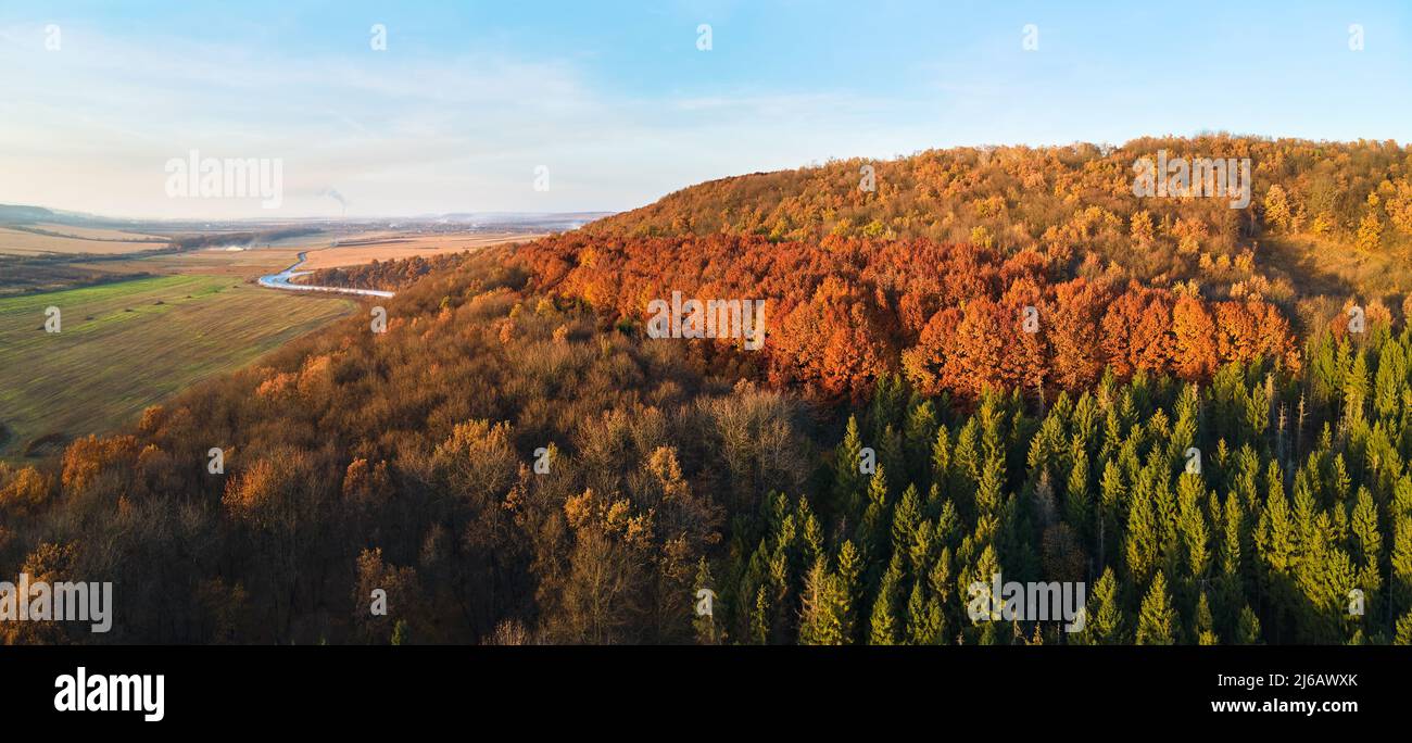 Vista aerea delle colline coperte di pino misto scuro e lussureggiante ...
