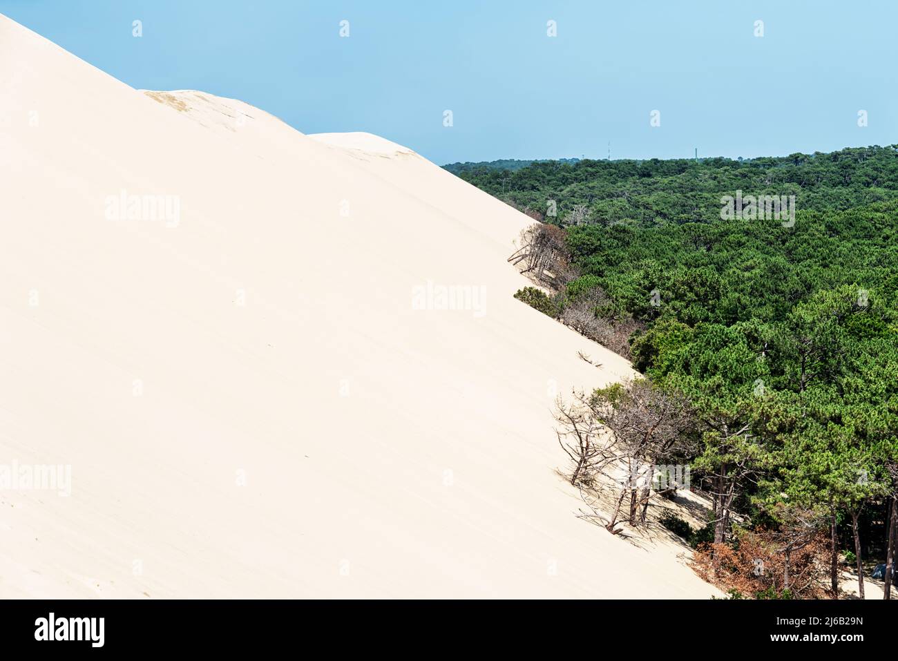Cima della duna du pilat immagini e fotografie stock ad alta ...