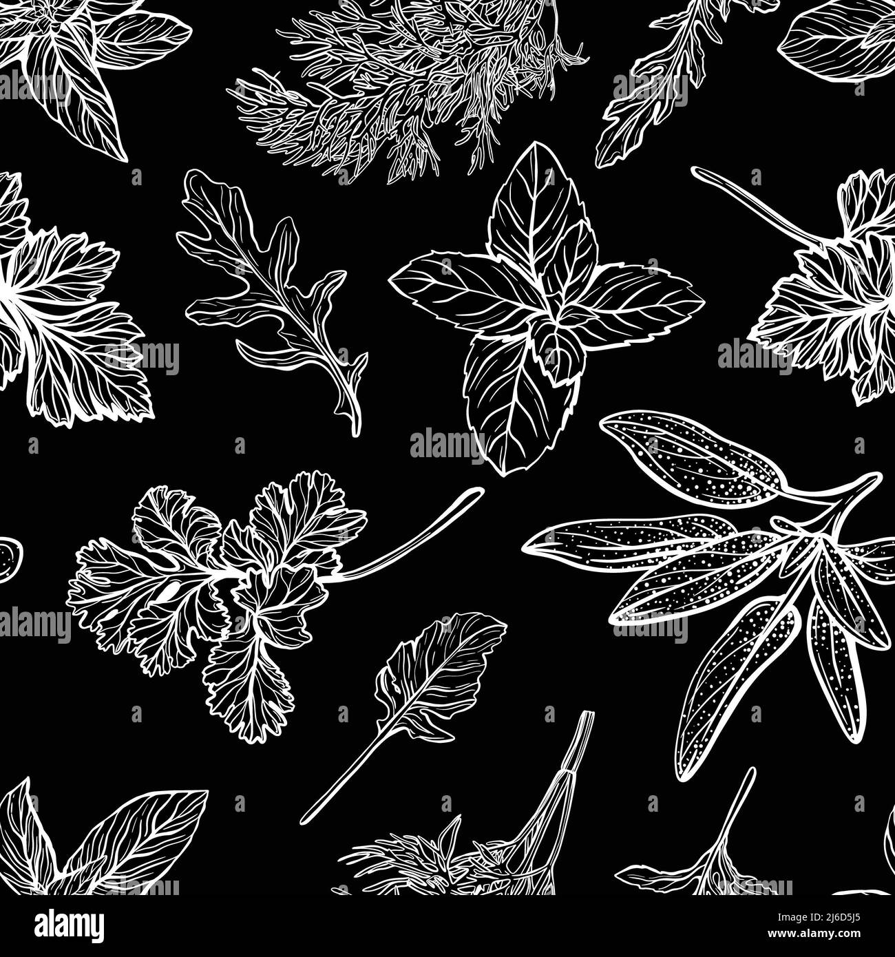 Piante erbacee Foto e Immagini Stock in Bianco e Nero - Alamy