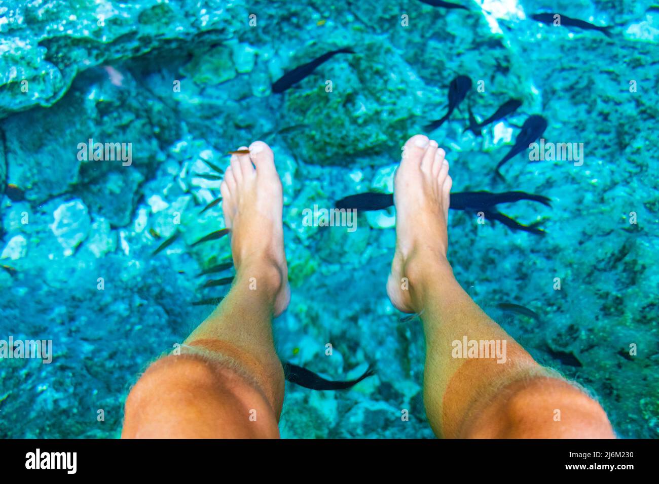 Pesce spa pedicure pesce morso piedi in acque turchesi blu sorprendente ...