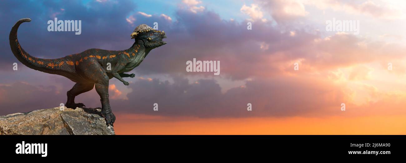 Epoca cretacea immagini e fotografie stock ad alta risoluzione - Alamy