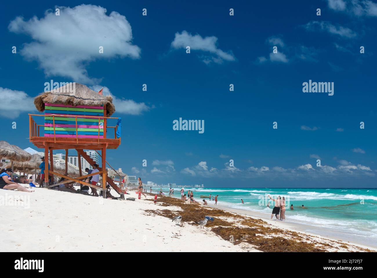Playa delfines cancun immagini e fotografie stock ad alta risoluzione ...