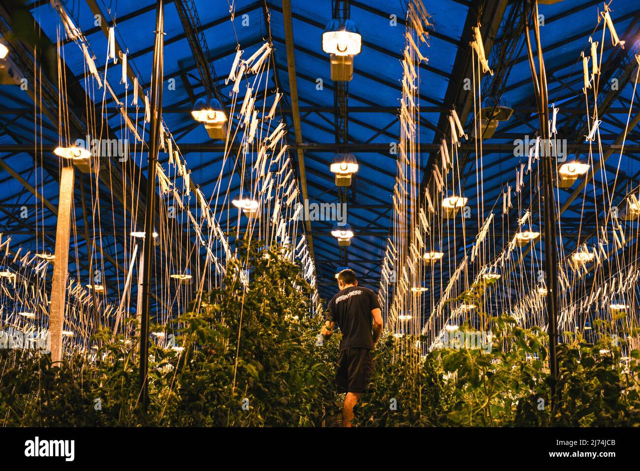 Greenhouses iceland agriculture immagini e fotografie stock ad alta ...