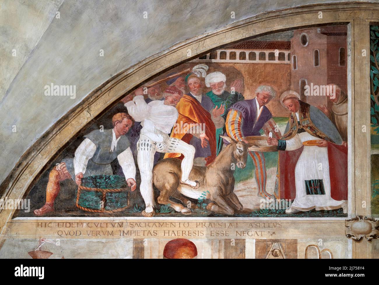 Il miracolo della mula immagini e fotografie stock ad alta risoluzione ...