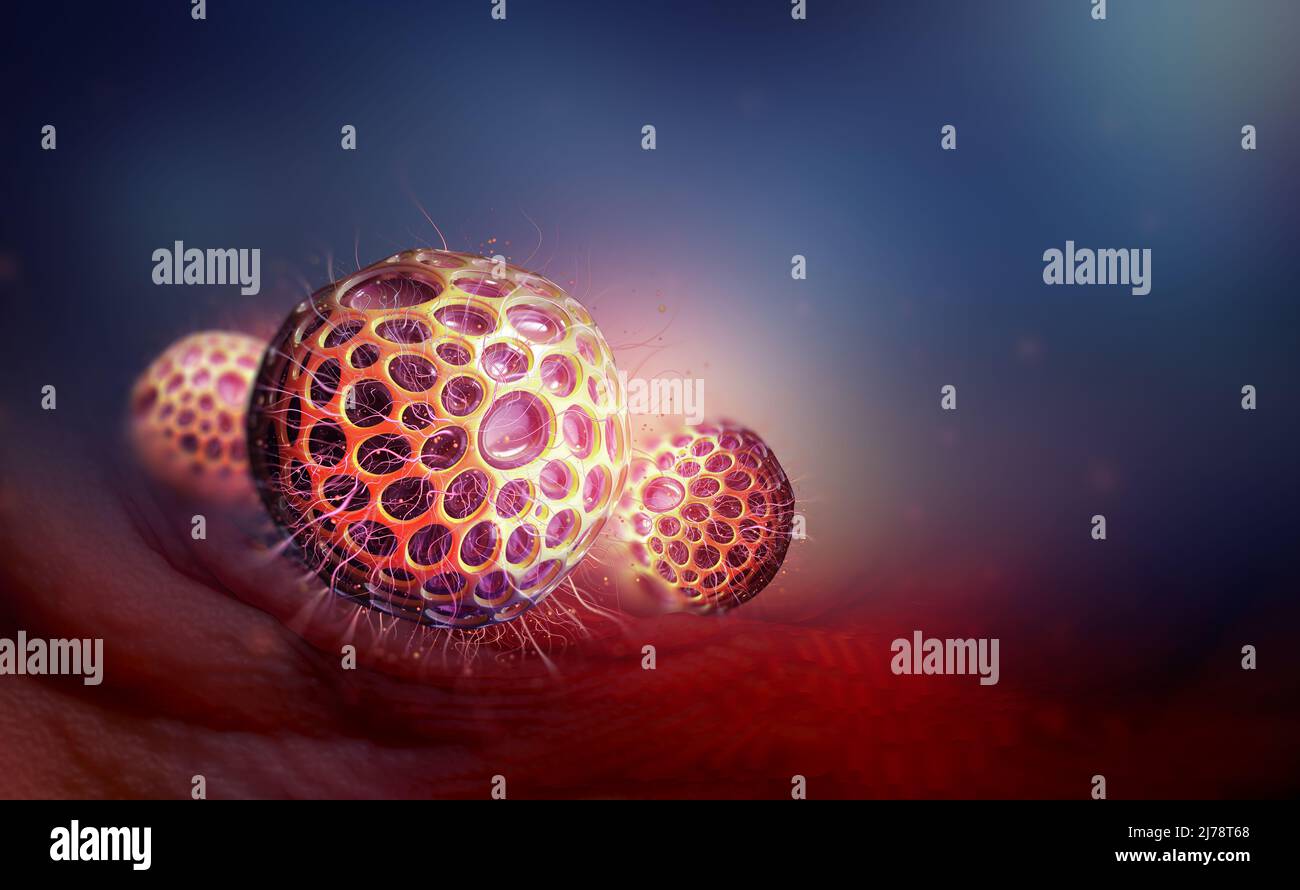 Allergeni nel corpo al microscopio. Spore di polline, funghi, germi ...