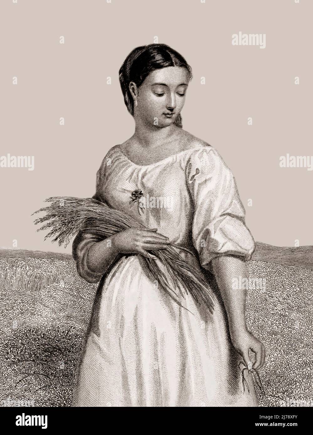 Libro di ruth immagini e fotografie stock ad alta risoluzione - Alamy