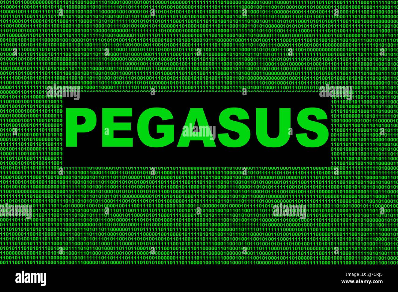 Software pegasus immagini e fotografie stock ad alta risoluzione - Alamy