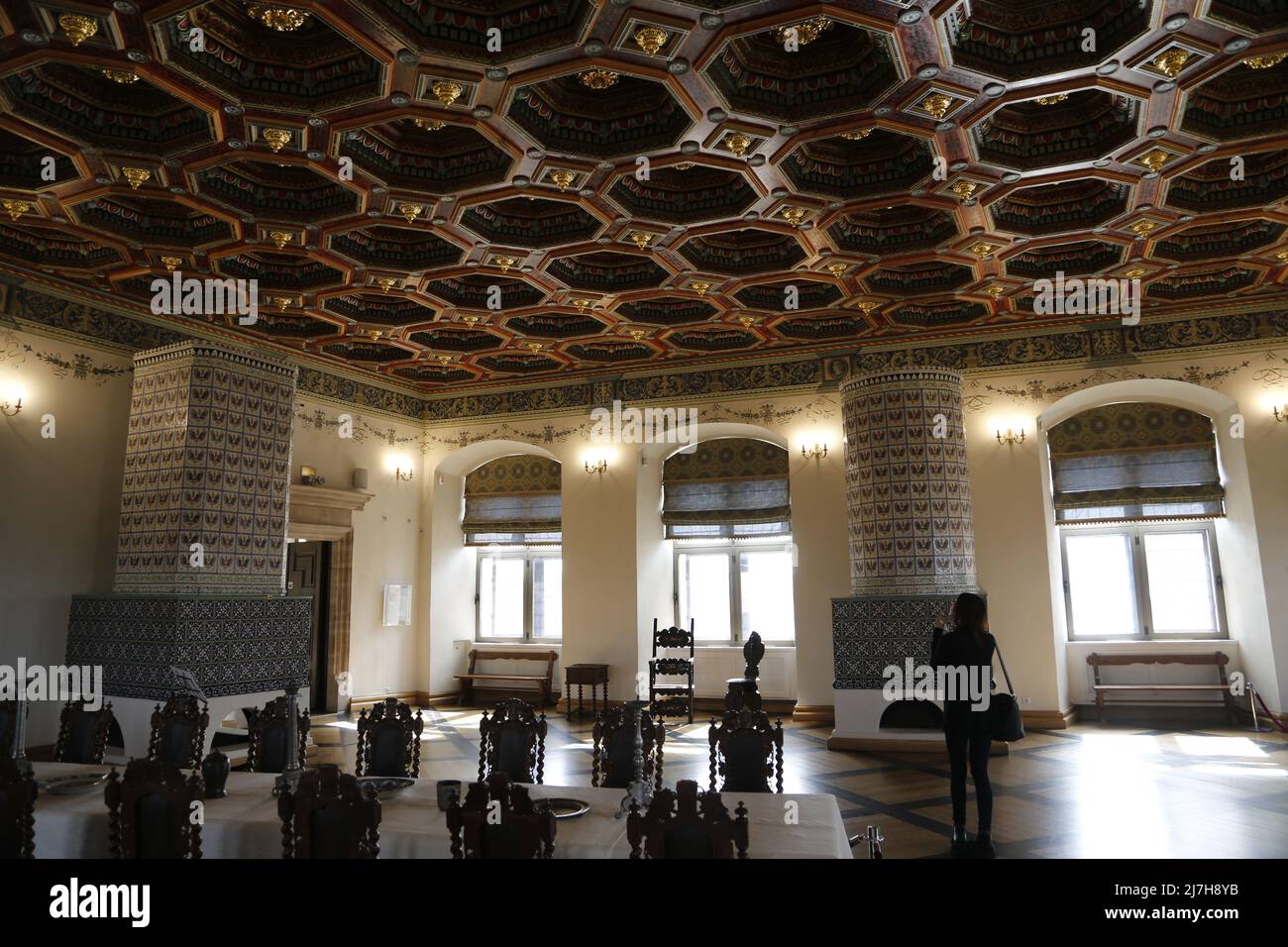 Soffitto della sala del mir immagini e fotografie stock ad alta ...
