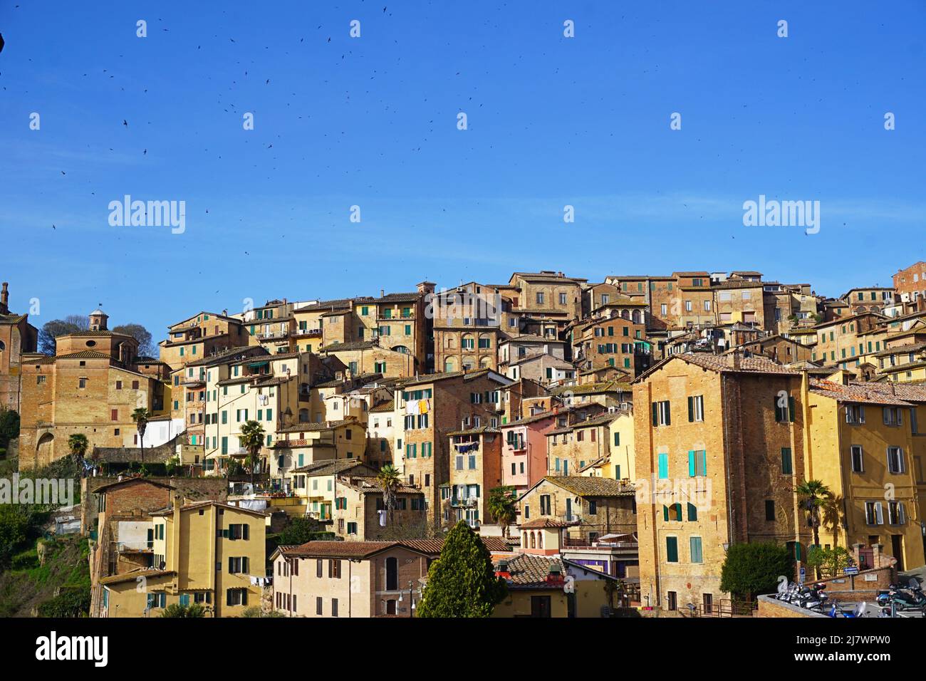 Centro storico di siena immagini e fotografie stock ad alta risoluzione ...