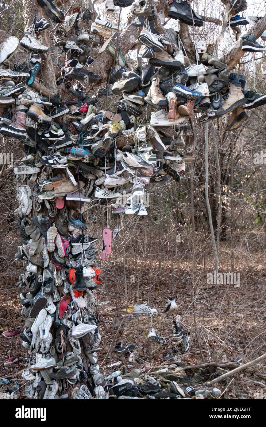 Scarpe appese ai rami degli alberi immagini e fotografie stock ad alta ...