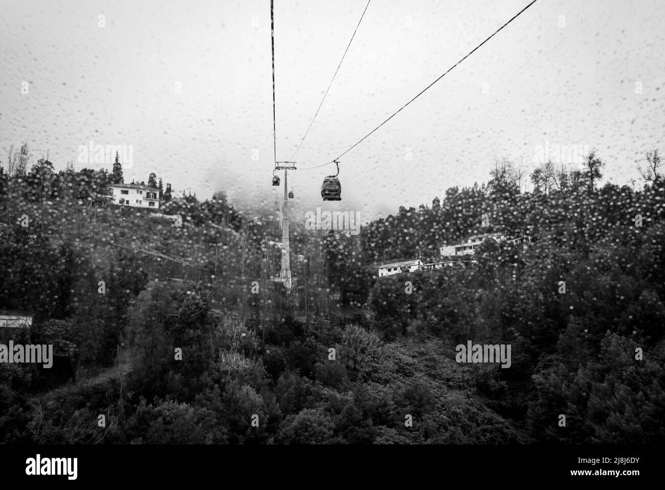 Cosa vedere a madeira Foto e Immagini Stock in Bianco e Nero - Alamy