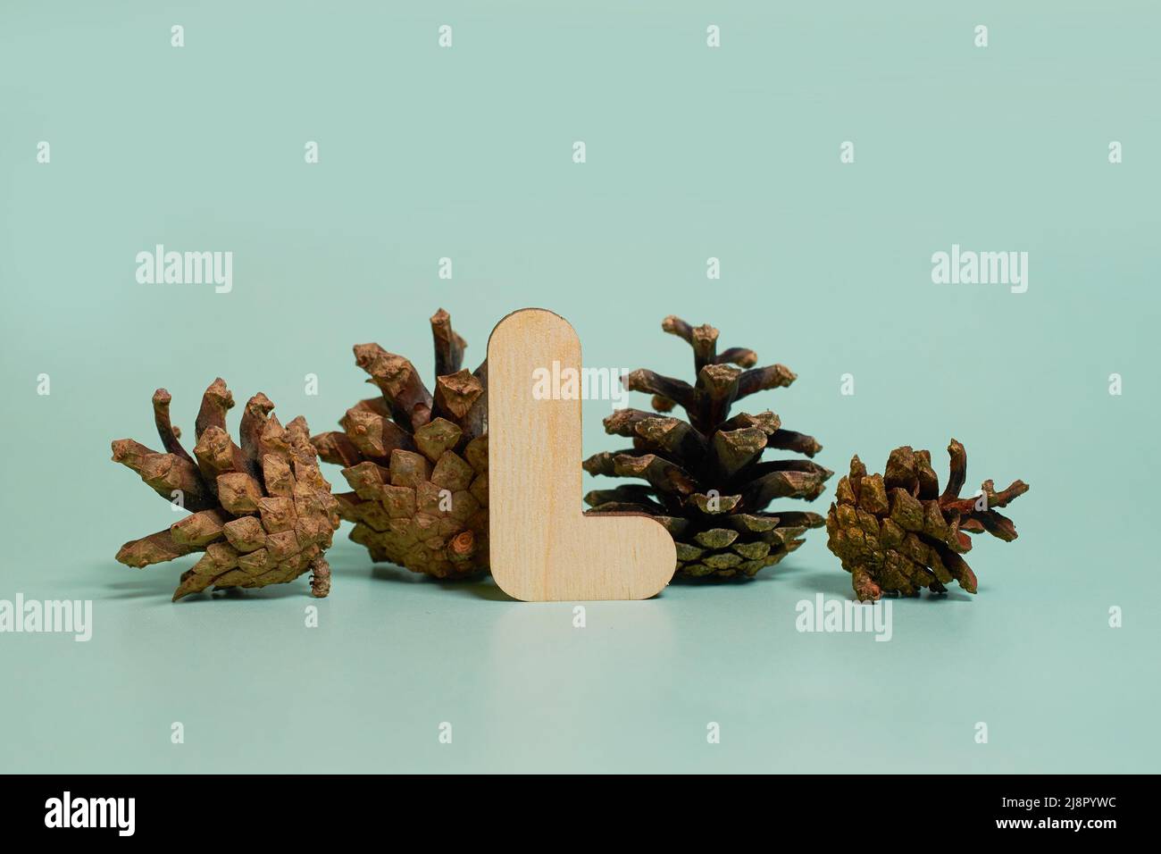 Lettera L. una lettera in legno dell'alfabeto inglese e quattro coni di ...