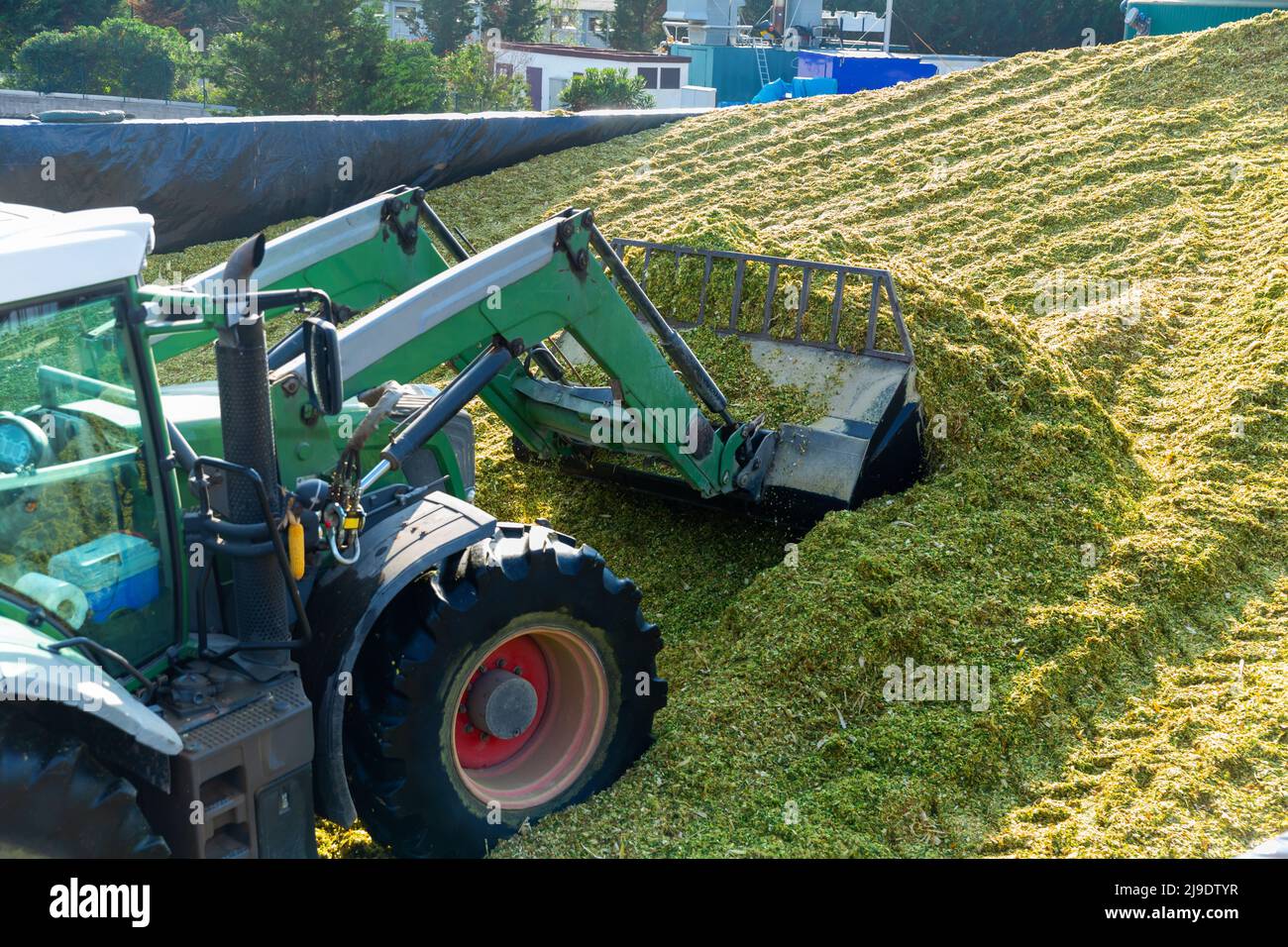 Foraggio per silos immagini e fotografie stock ad alta risoluzione - Alamy
