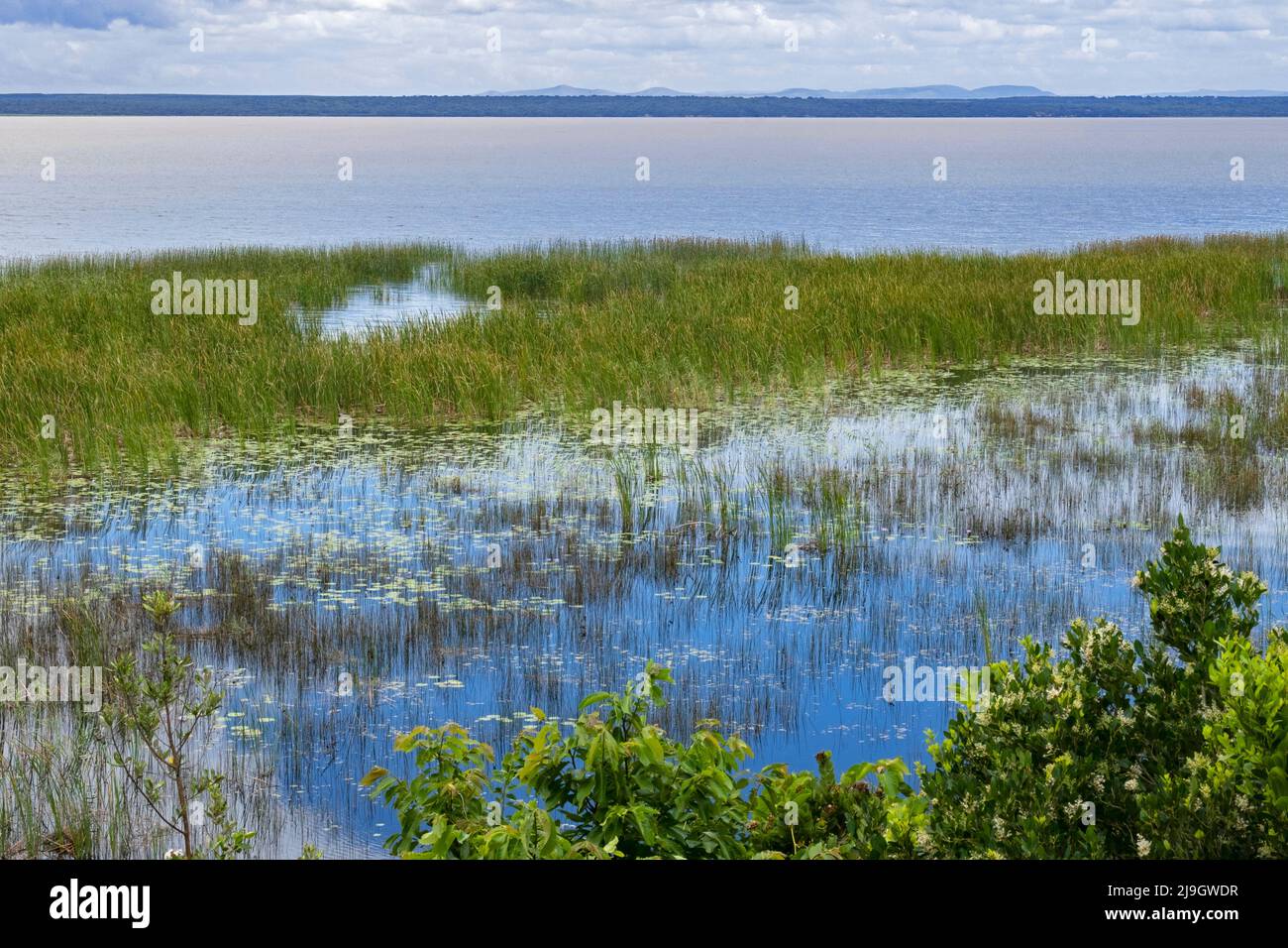 Il lago di Santa Lucia, il più grande lago estuarino dell'Africa ...