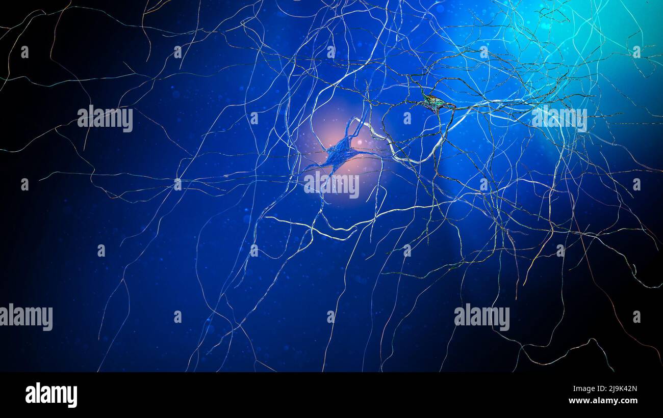 Neurone struttura immagini e fotografie stock ad alta risoluzione - Alamy