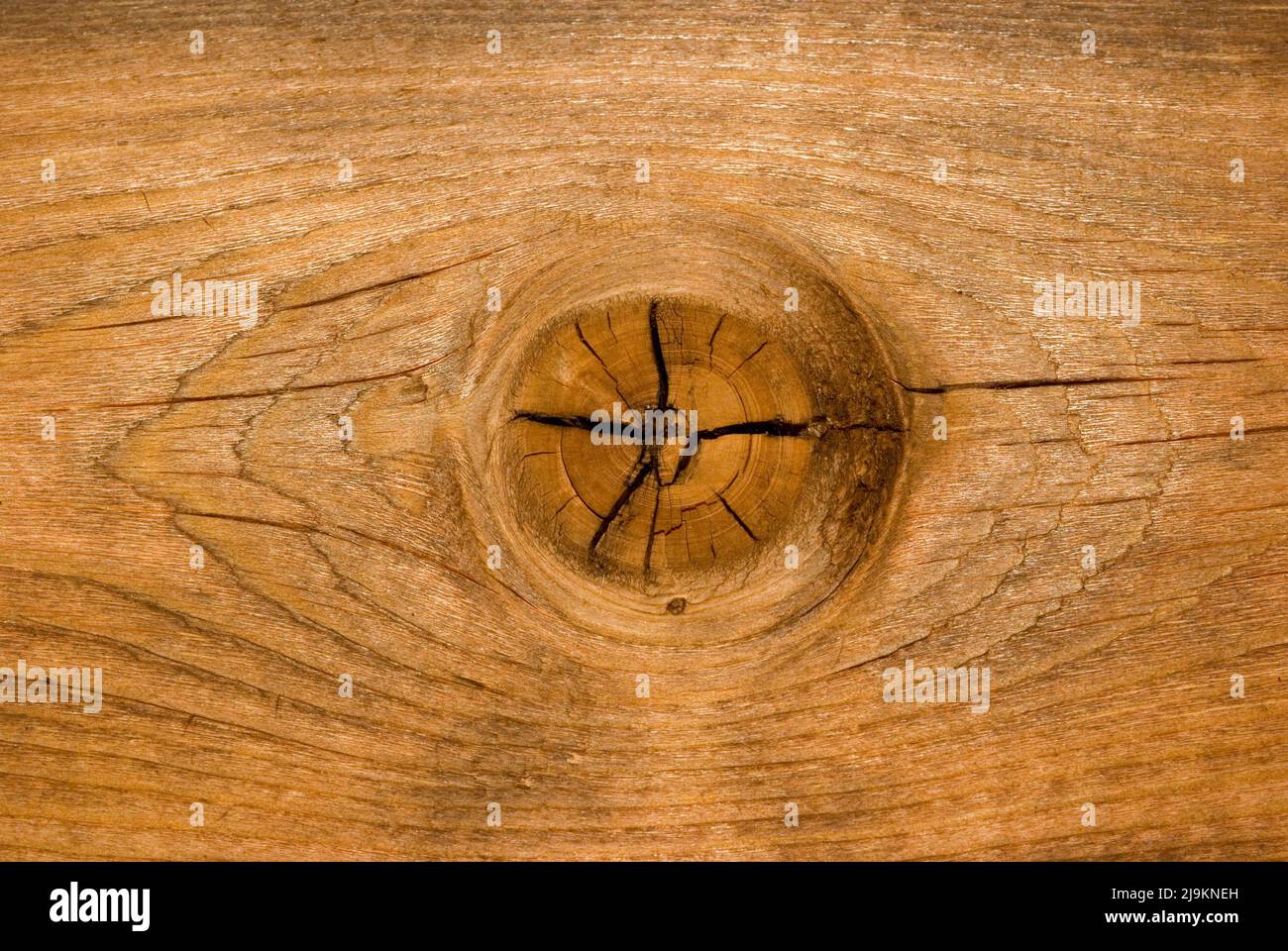 Nodo in legno immagini e fotografie stock ad alta risoluzione - Alamy