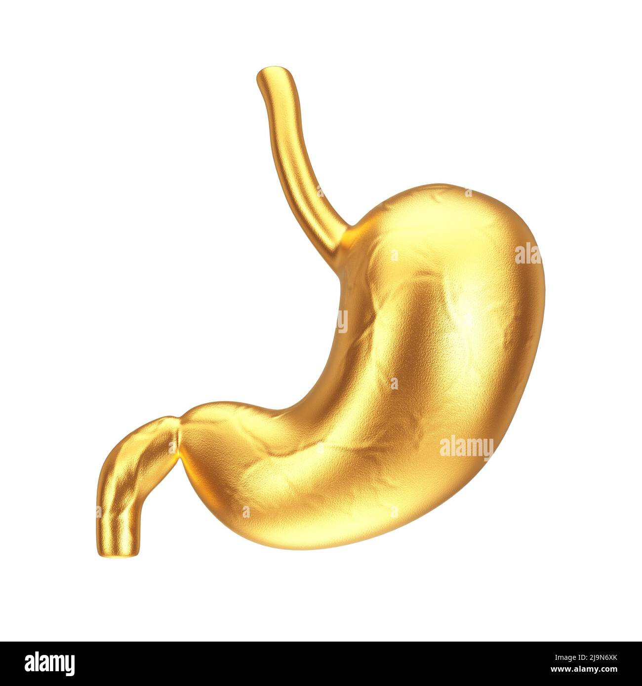 3d addome anatomico addominale immagini e fotografie stock ad alta ...