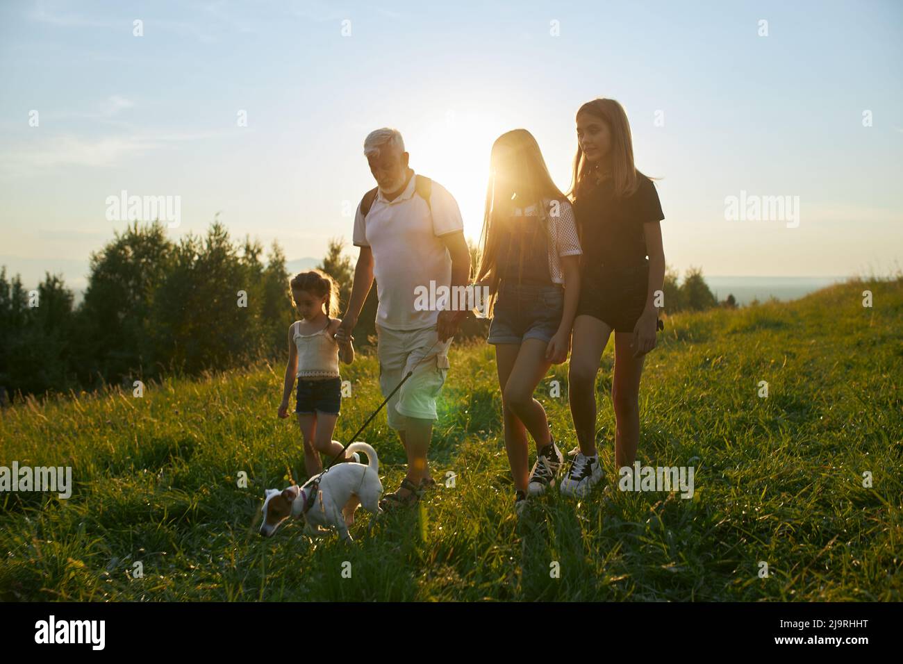 Cane che guida avanti immagini e fotografie stock ad alta risoluzione ...