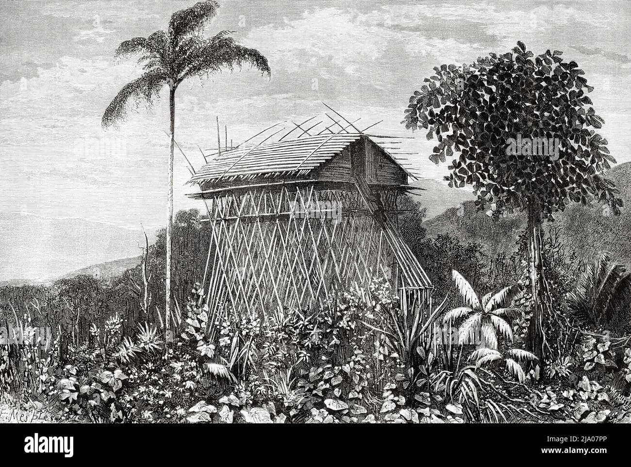 Casa tradizionale su palafitte. Papua Nuova Guinea, Indonesia, Asia ...