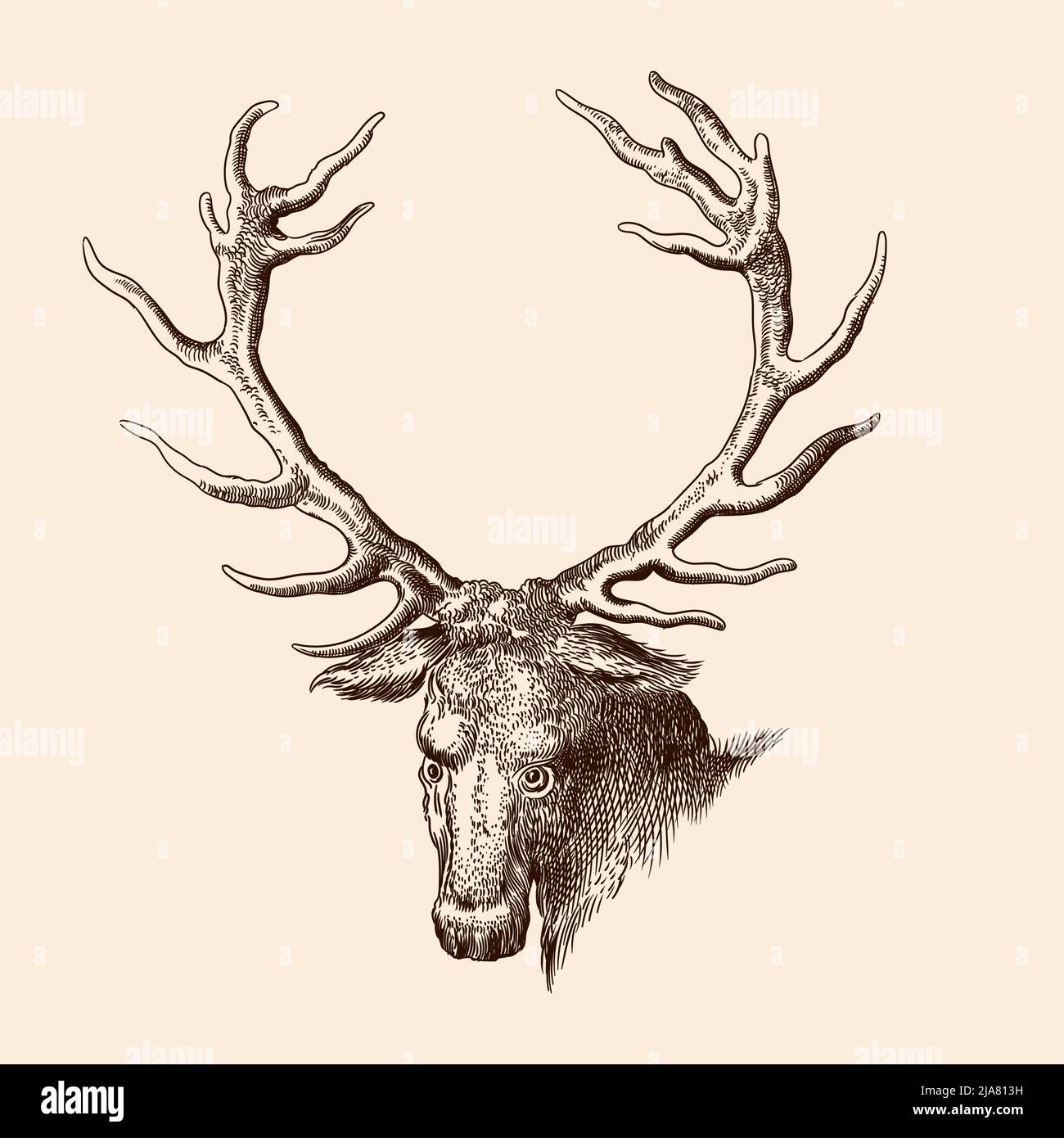 Reserva nacional reserva natural de vida silvestre Immagini Vettoriali ...