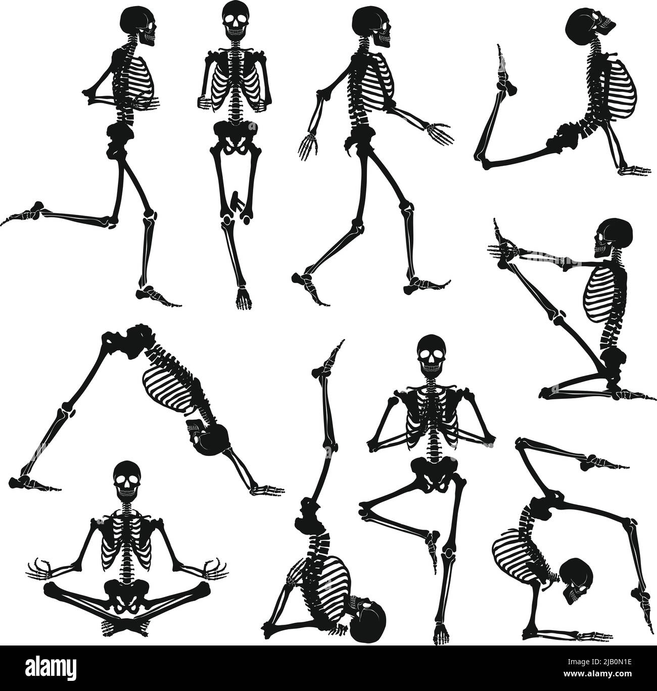 Forma di scheletri umani immagini e fotografie stock ad alta ...